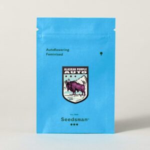 Buy Alaskan Purple Auto Feminized Seeds by Seedsman in America ...