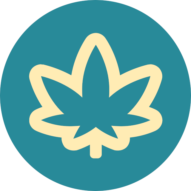 Indica Cannabis Seeds For Sale USA - Stellar Seeds