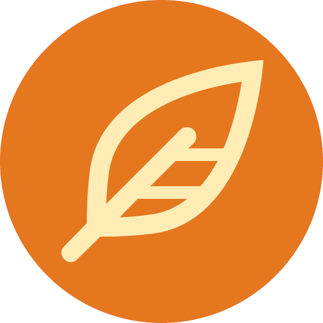 Mostly Sativa Cannabis Seeds For Sale USA - Stellar Seeds