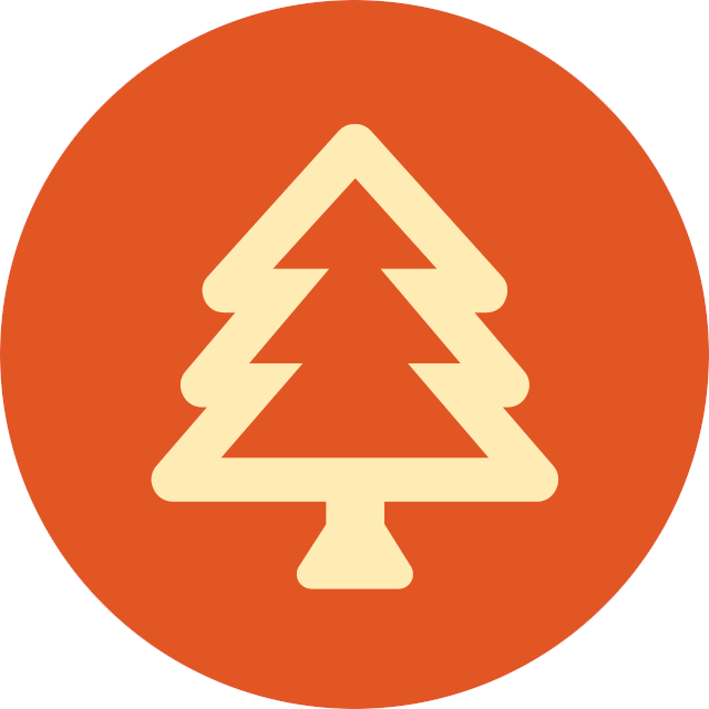 Sativa Cannabis Seeds For Sale USA - Stellar Seeds