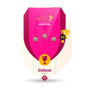 Buy RQS Feminized Starters Kit by Royal Queen Seeds in America ...